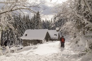 Ciaspolata Foppiano-Alpe Voma | Max510's Blog